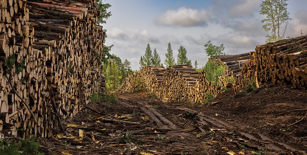 Forestry & Logging Equipment | John Deere US