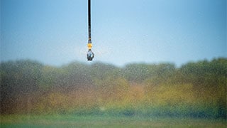 Un Spectre de Solutions